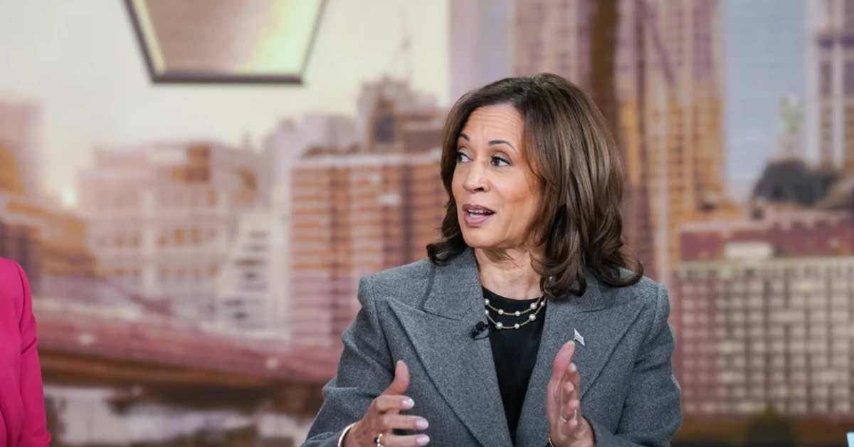 Former VP Kamala Harris on 2024 The View Appearance: "Pulled The Pin on ...