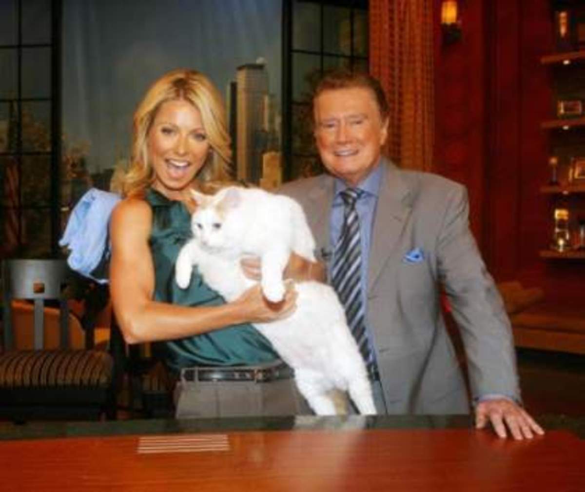 Caption This: That Darn Cat - Daytime Confidential