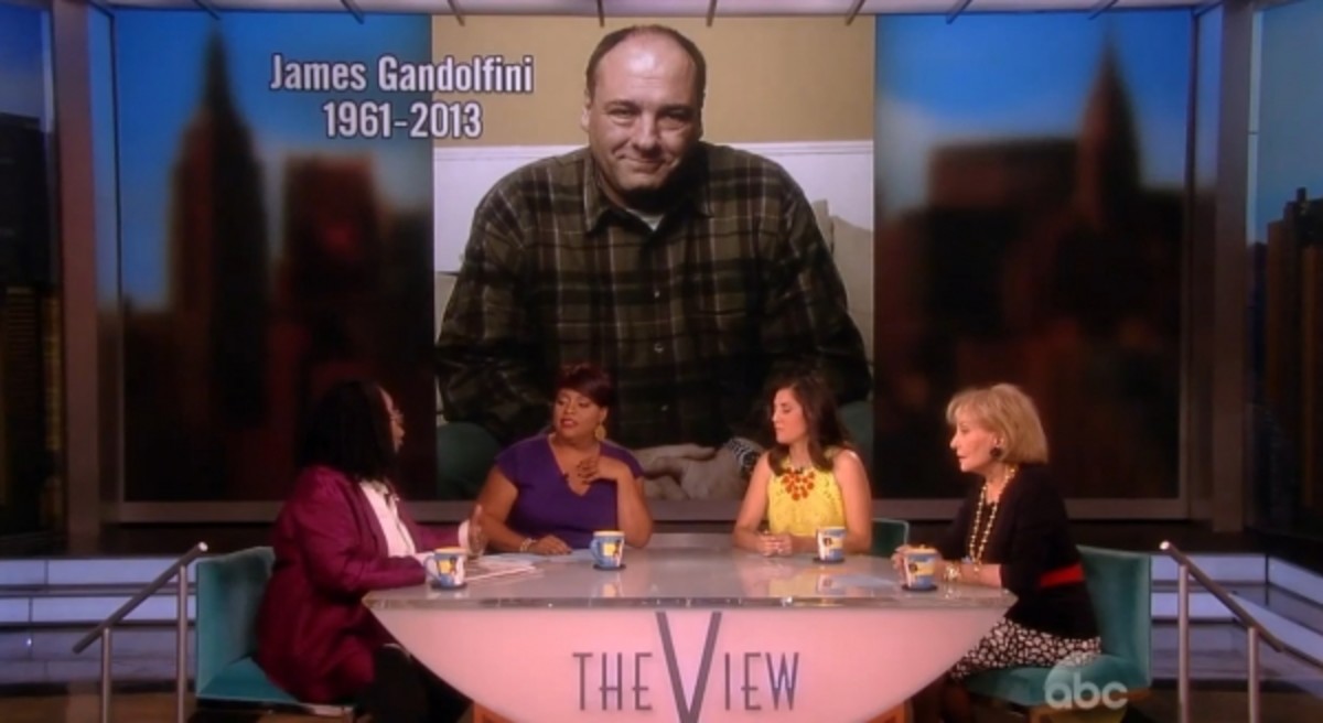 Daytime Talk Show Hosts React to James Gandolfini's Death (VIDEOS ...