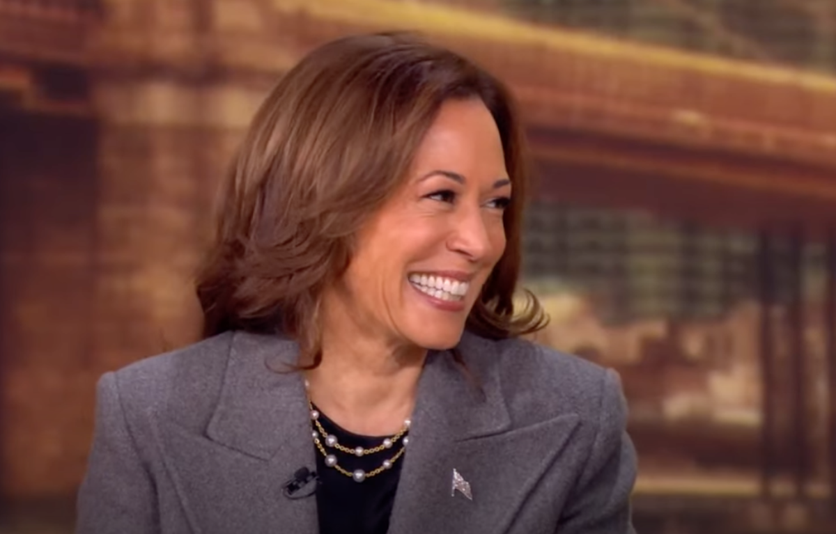 WATCH: VP Kamala Harris Discusses Bipartisan Support and Border ...